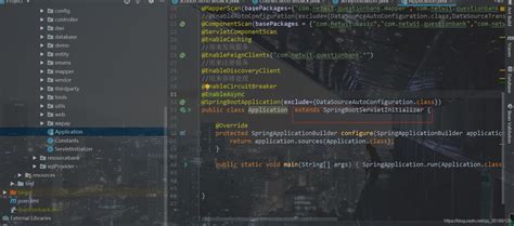 Spring Cloud Is A Big Hole Failed To Start Bean EurekaAutoServiceRegistration ProgrammerAH