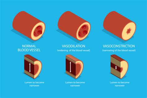 รูปภาพconstrict เลือกดูภาพถ่ายสต็อก เวกเตอร์ และวิดีโอ76680 Adobe