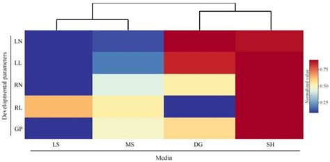 Hierarchical Clustering Heatmap Based Comparison Of The Developmental