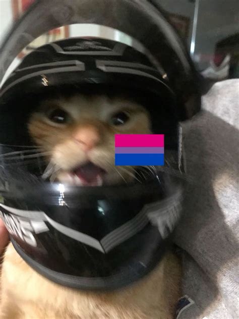 Bisexual Aesthetic Pfp