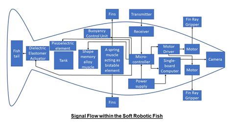 GitHub Nk 16 Soft Robotic Fish Worked On An Ideation Competition Named Biognosis On