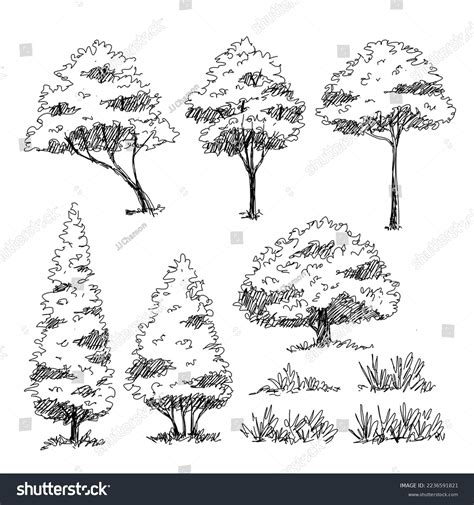 Tree Sketch Set Hand Drawn Architect Stock Illustration Shutterstock