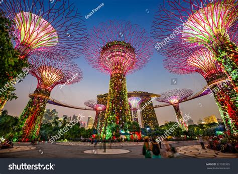 7 273 Tree Like Structure Bilder Stockfotos Und Vektorgrafiken Shutterstock