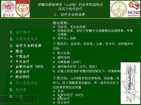 陈功教授：颈髓动静脉畸形（csavm）的血管构筑特点及其个体化治疗 医学界 助力医生临床决策和职业成长