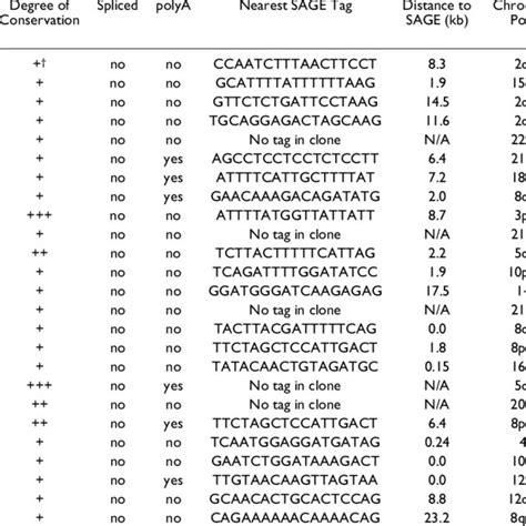 Sequence Characteristics Of Unannotated Clones Download Table