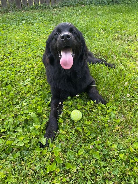 Fetch Sessions Get Her Gassed But She Loves It More Than Anything R