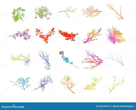 A Set Of Tree Colorful Branches Autumn Branches Vector Illustration Stock Vector Illustration