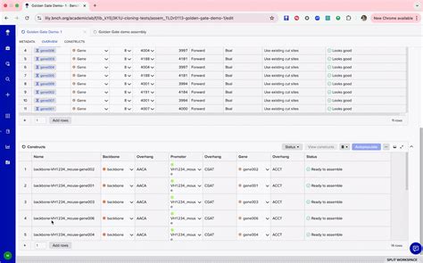 Modeling Golden Gate Assemblies With The Combinatorial Assembly Tool
