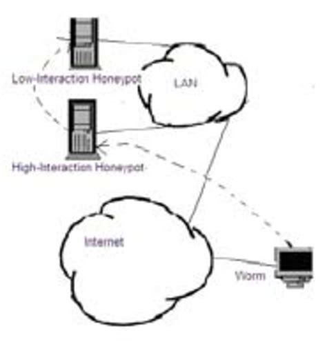 Double Honeypot System Download Scientific Diagram