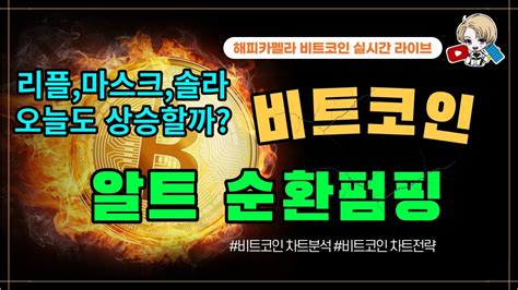 비트코인 실시간 리플솔라마스크 오늘도 상승할까 알트 순환펌핑 중 3월 30일 아침💎 Youtube