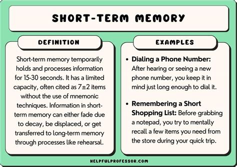 25 Short Term Memory Examples 2025