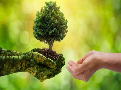 Full 4k Collection Of World Environment Day Images With Quotes Top 999 Breathtaking World