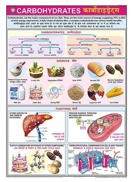 Carbohydrates In Food
