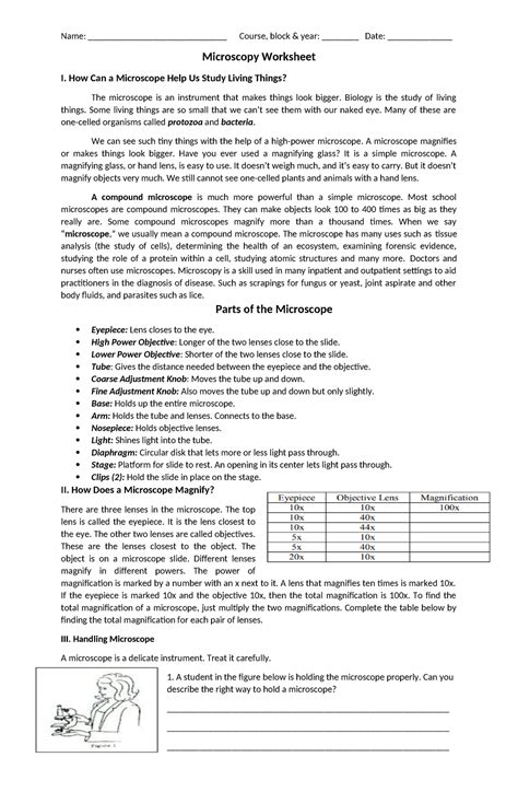 Microscopy Worksheet Name Course