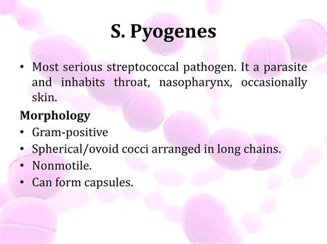 Streptococcus Ppsx Ear Nose And Throat Conditions Diseases And Conditions