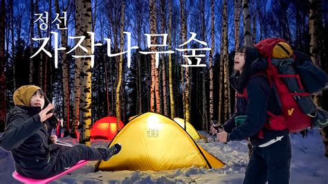 ️⛄️눈쌓인 자작나무숲 에서 백패킹 정선자작나무숲 백패킹 자연눈썰매장 겨울설산 노브레끼크루 코오롱스포츠