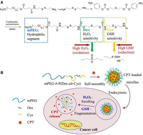 Schematic Illustration Of A Chemical Structure Of Download Scientific Diagram