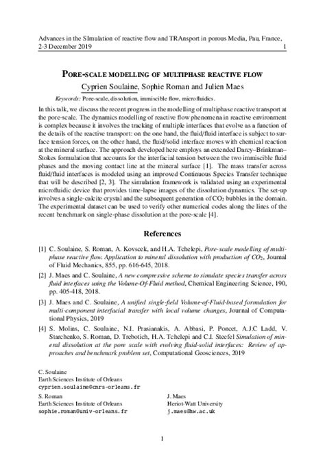 (PDF) Pore-scale modelling of multiphase reactive flow | Sophie Roman - Academia.edu