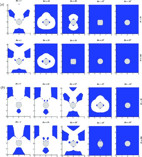 Structure Of The Yielded White Colorunyielded Blue Color Regions