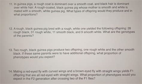 Solved The Following Four Problems All Relate To Albinism