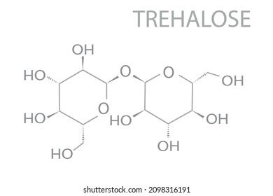 Trehalose Molecular Skeletal Chemical Formula Stock Vector Royalty