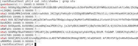 （linux）用户与磁盘管理实验报告 linux磁盘管理实验报告 csdn博客