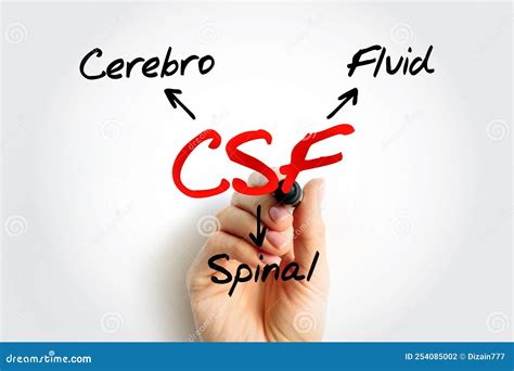 Csf Cerebrospinal Fluid Clear Fluid That Surrounds The Brain And