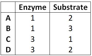 The Diagram Shows The Lock And Key Model Of Enzyme Action Which Is The En