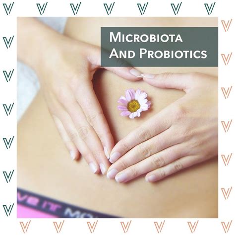 Microbiota And Probiotics Discover Their Benefits⠀ ⠀ Different