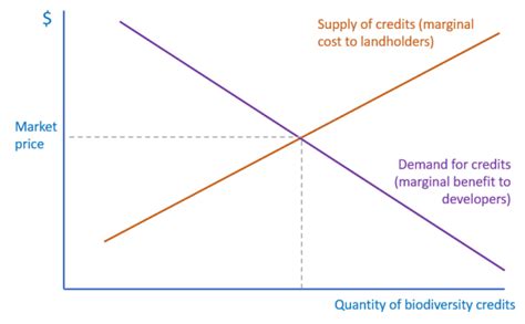 384 biodiversity offset prices and biodiversity values pannell