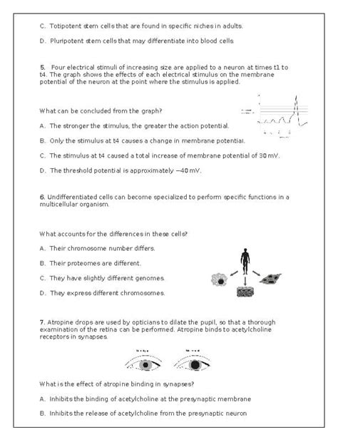 Ib Biology Test By Science Titan Tpt