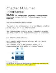 Chapter Human Inheritance Biology Chapter Human Inheritance Key Terms Autosomes Sex
