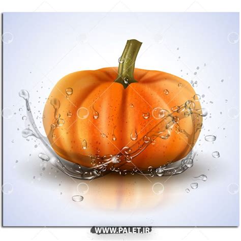 دانلود وکتور کدو حلوایی کارتونی Pumpkin Vector Pumpkin Galaxy Wallpaper