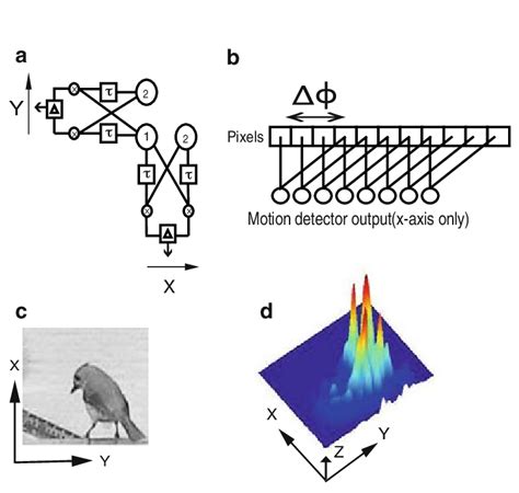 A The Basic Operation Of The Elementary Motion Detector Circles Download Scientific Diagram