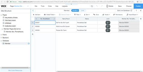 How To Create Search Box And Display Result Connected Database Velo By Wix