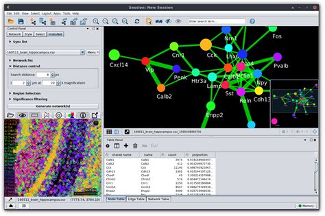 Cytoscape Gene Expression Julushow