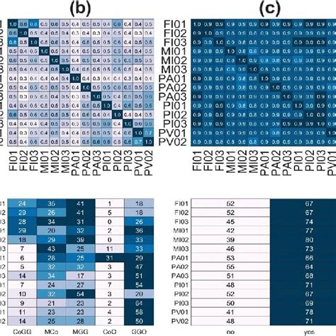 top row accuracy matrix on the four clinical metrics computed