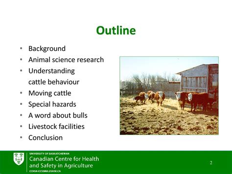 Low Stress Cattle Handling - ppt download