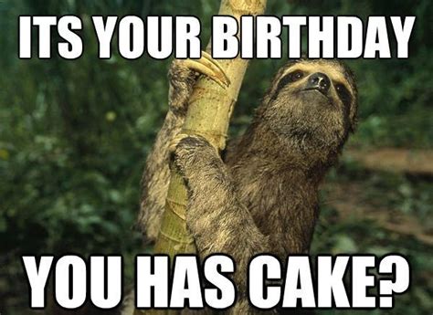 Funny Happy Birthday Memes In 2023 With Pictures Sloth Three Toed