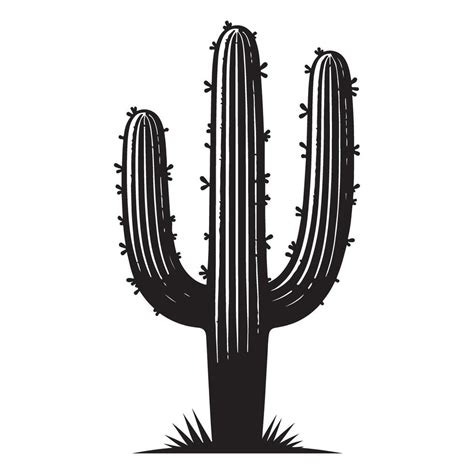 Saguaro Cactus Silhouette Graphic Illustration For Desert Scenes