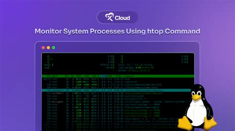 Guide How To Monitor System Processes Using Htop Command Easily With