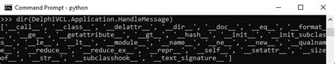 learn about delphivcl application handlemessage in python