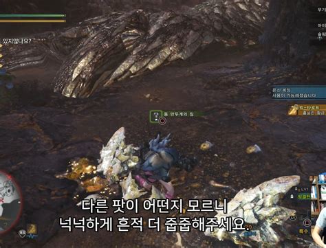 역전왕 맘타로트 흔적줍줍 공략 추적lv6 만들기 몬스터 헌터 월드