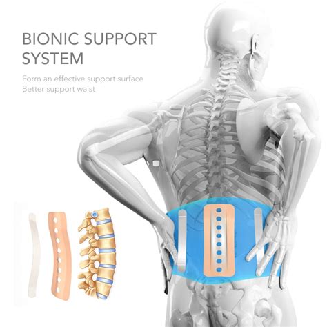 Marese Lumbar Orthopedic Herniated Disc Brace Wais Vicedeal