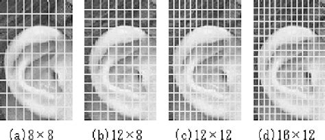 Figure From Study On Human Recognition By Ear Image Based On Genetic Local Search Semantic