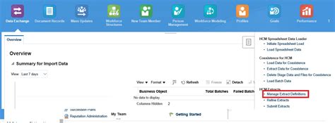 Oracle Masterminds Fusion Hcm Customizing The Global Payslip