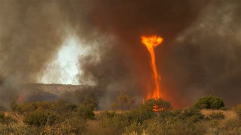 Firenado