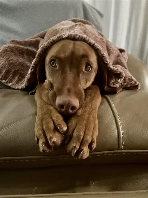 If Only She Was Loved Just A Little Bit More Rvizsla
