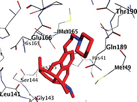2d And 3d Binding Modes Of 8 Interacted With The Mpro Active Site Pdb