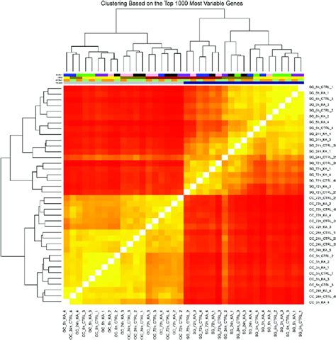 Clustering Of The Samples Assayed By Microarrays Unbiased Hierarchical Download Scientific